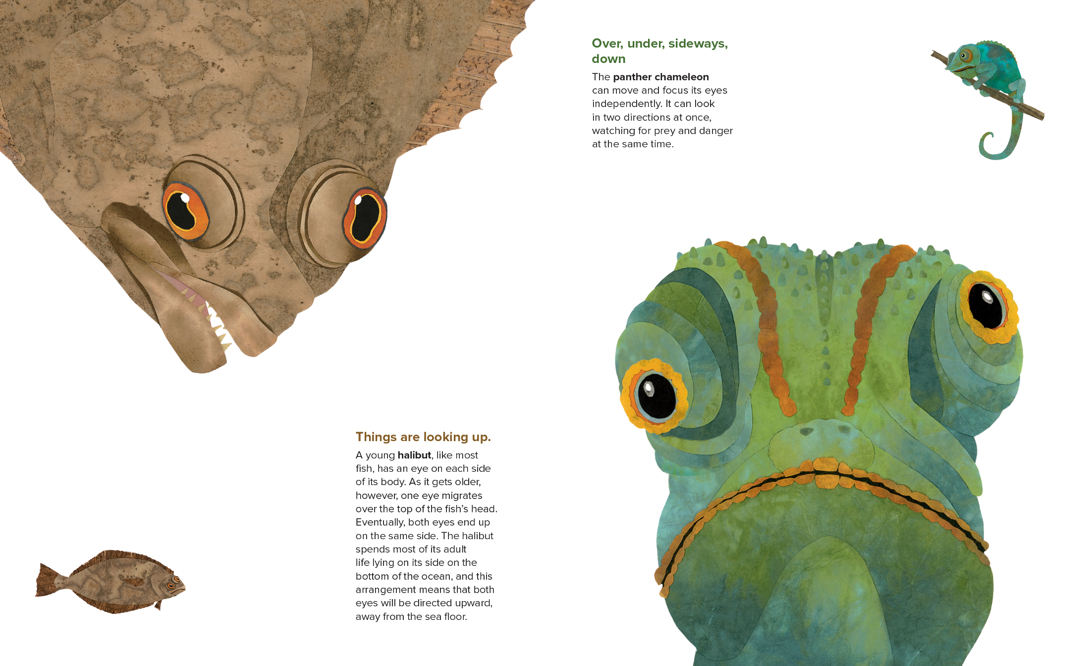 Seven Impossible Things Before Breakfast » Blog Archive » A Handful of ...